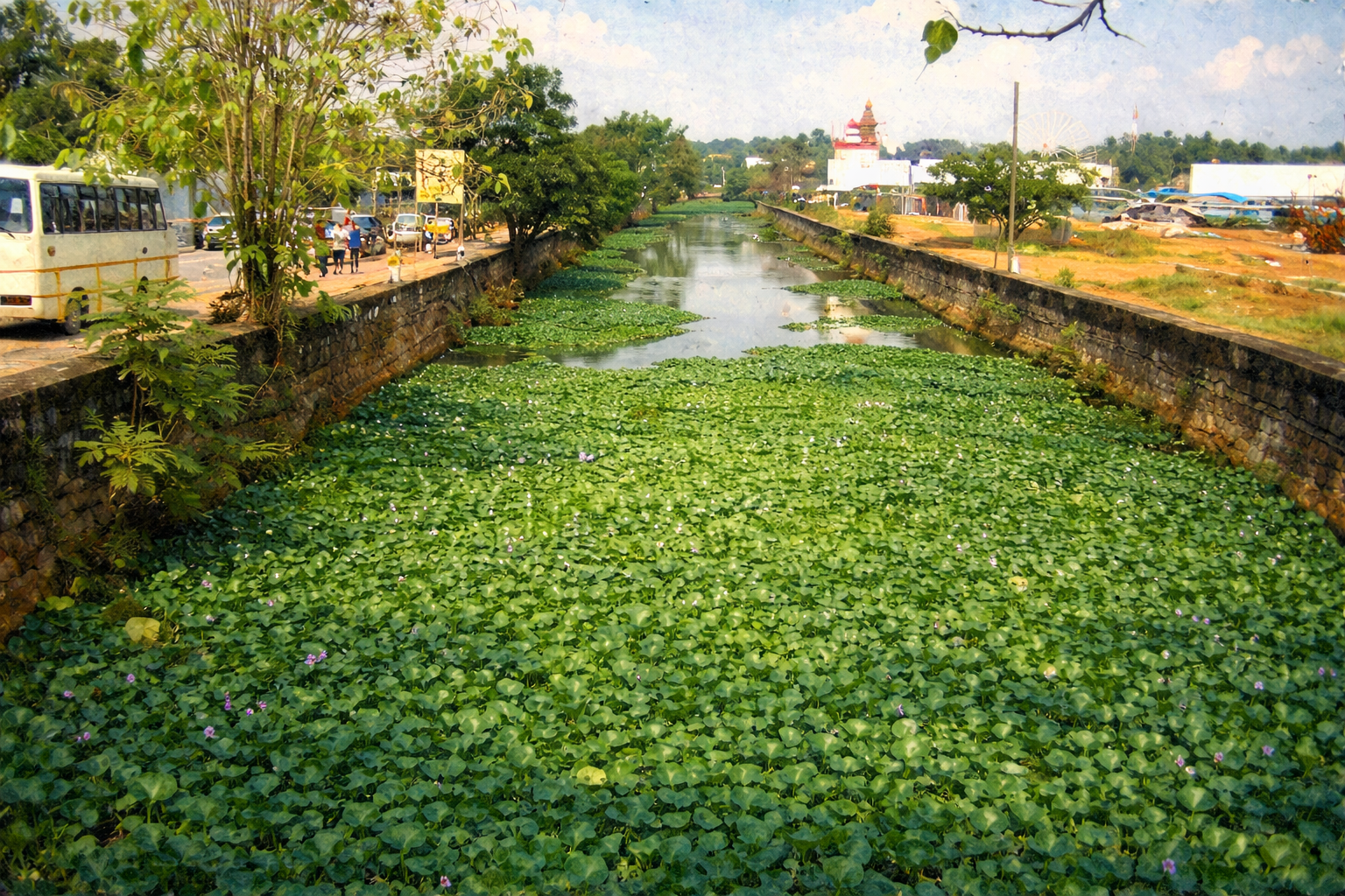 Connolly Canal: A Water Network Lost in Time – STORIES by HEARITAGE