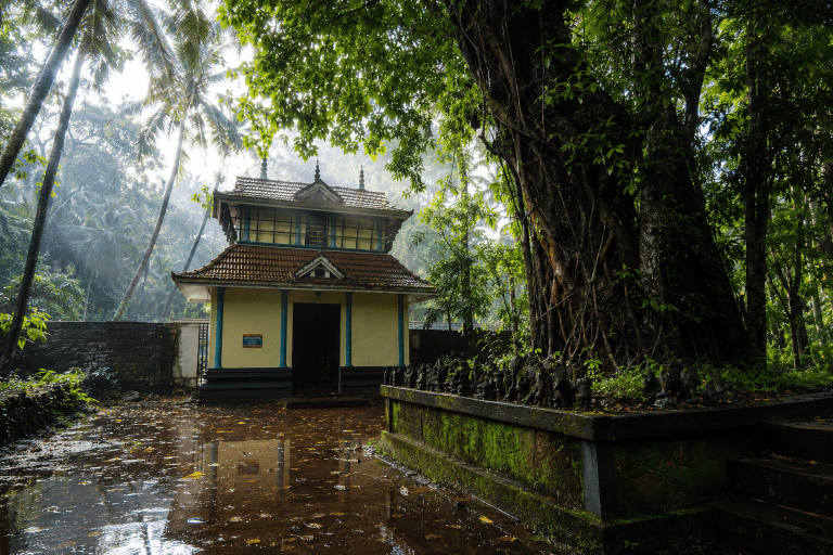 Vellamassery Garudan Temple: Sanctuary of the Divine Eagle – STORIES by ...